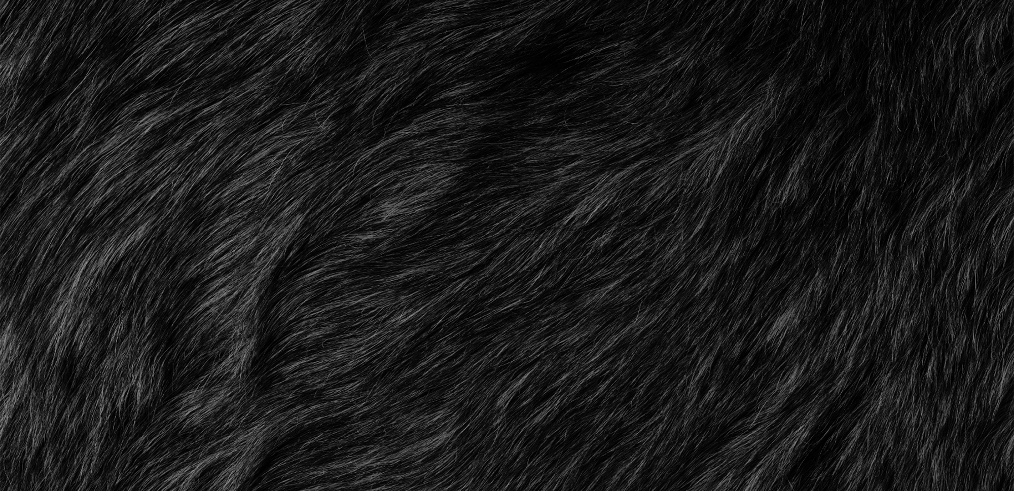 Ape Creative: Terms & Cookies